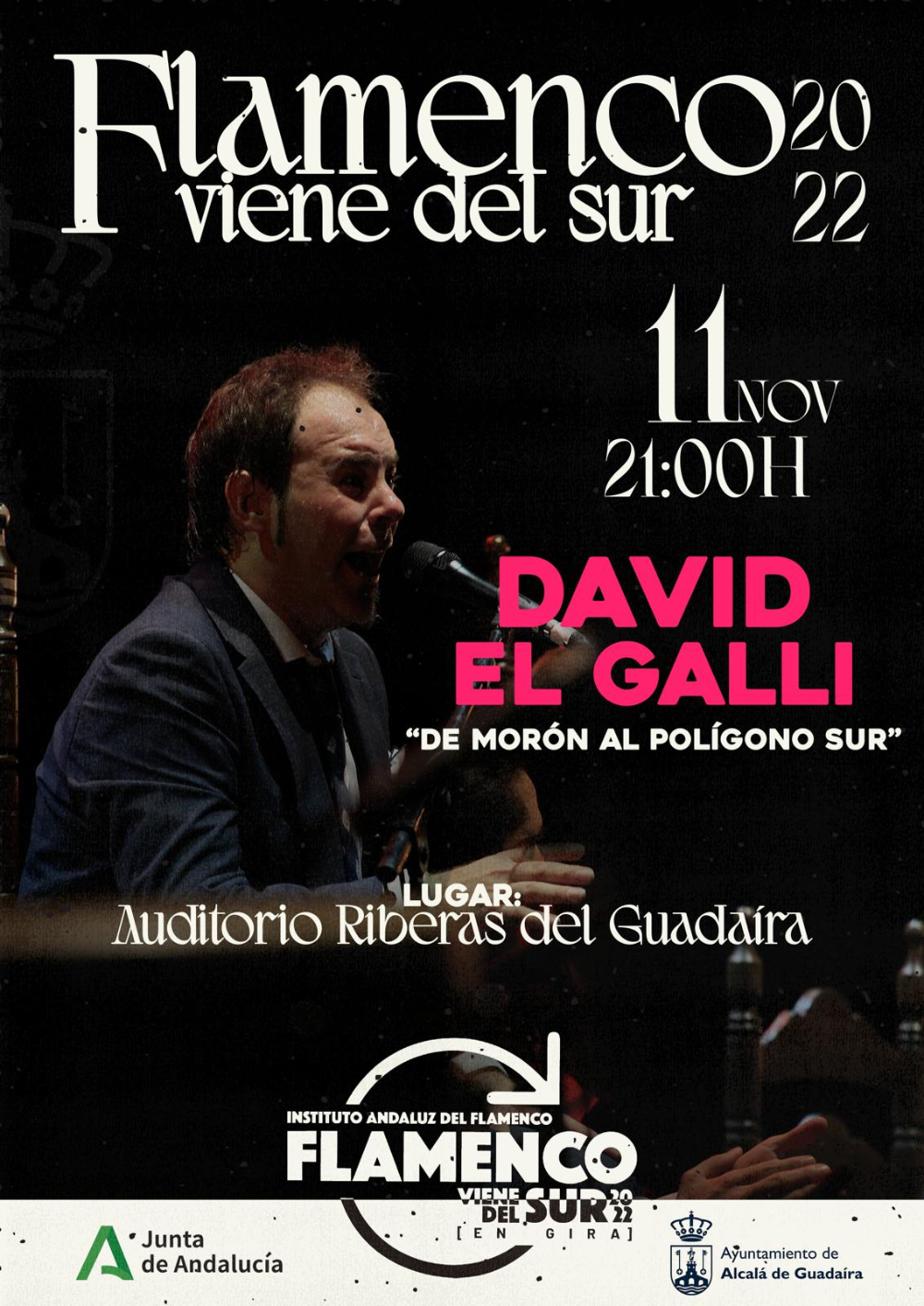 Espectáculo de David `El Galli´ en el auditorio